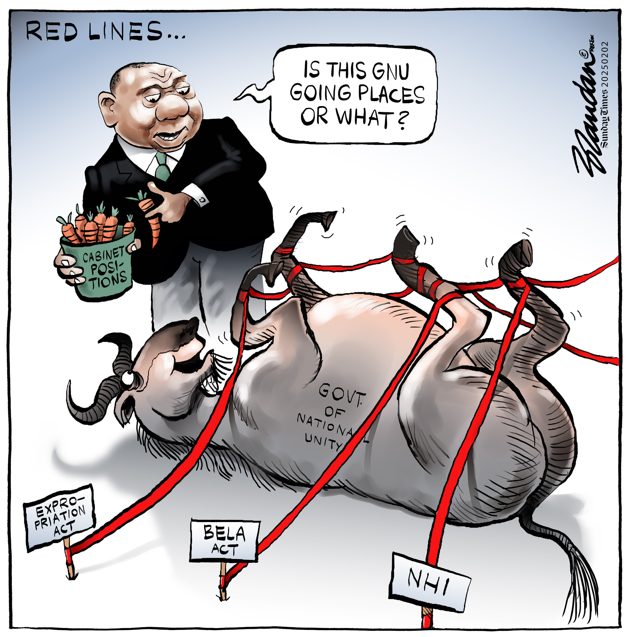 Sunday Times 2 February 2025 | Editorial Cartoons by Brandan